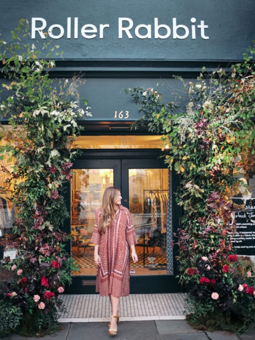 It’s Back! Roller Rabbit Returns to Charleston - Lucy Cuneo