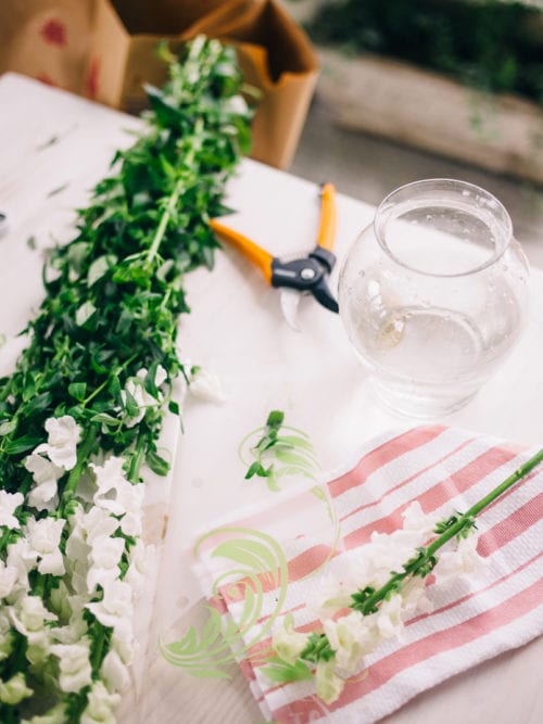 How to Pick & Process Flowers ! - Lucy Cuneo